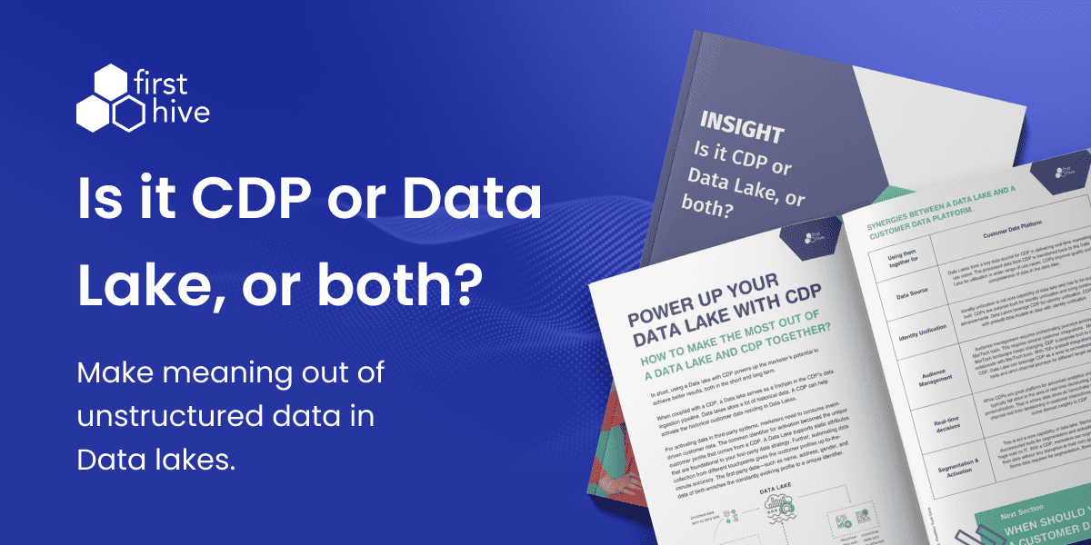 Data lake and CDP - FirstHive